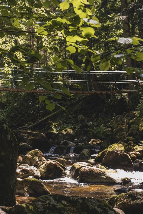 Wildbachklamm Im Bayerischen Wald Sophias Welt