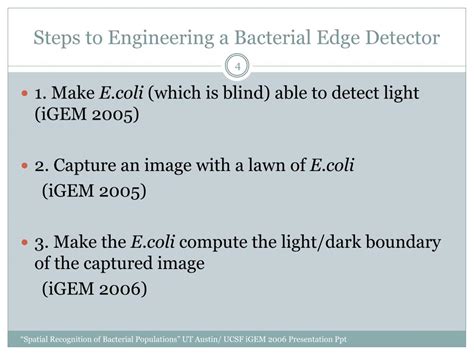 Ppt Bacterial Edge Detector Ut Austin Ucsf Igem 2006 Powerpoint