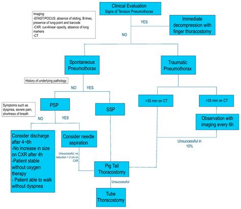 The Invisible Threat That Leaves You Breathless—a Literature Review On Pneumothorax In The