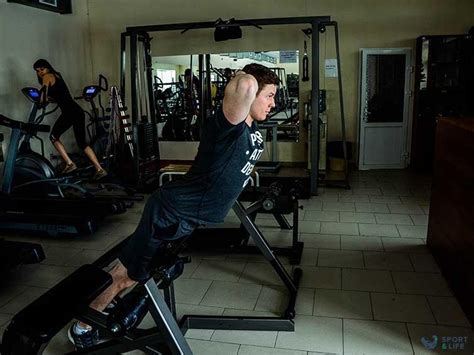 Упражнения для мышц нижней части спины ☑ Как укрепить и накачать поясницу