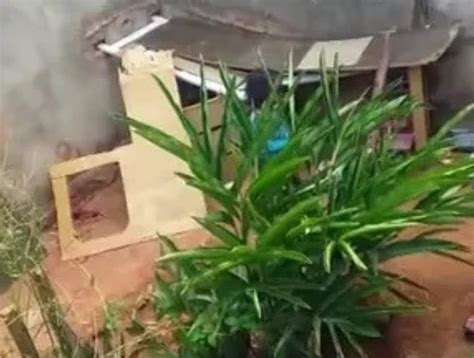 Crianças São Resgatadas Em Juazeiro Do Nortece