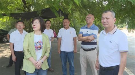 阳东区领导到东平镇调研乡村振兴综合示范村建设工作 阳江市阳东区人民政府门户网站