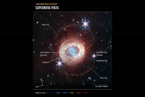 Webbs Nircam Near Infrared Camera Captured This Detailed Image Of Sn