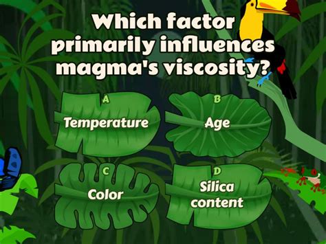 Generalization Quiz