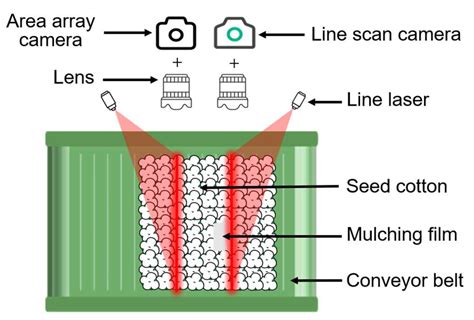 residual mulching film detection in seed cotton using line laser imaging