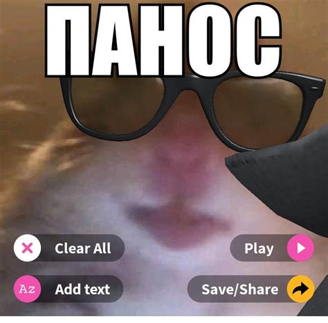 у хомяка поносик🥹🤗 Add Text, Ads, Incoming Call