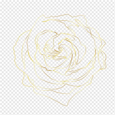 장미 꽃 일러스트 로즈 골드 라인 화이트 심장 금 Png Pngwing