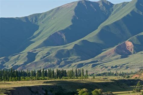 Самое знаменитое конопляное поле – Чуйская долина | Бросаем пить вместе ...