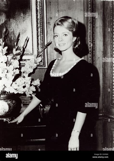 Inger Stevens Supplied Inc The Farmers Daughter Credit Hi Res Stock