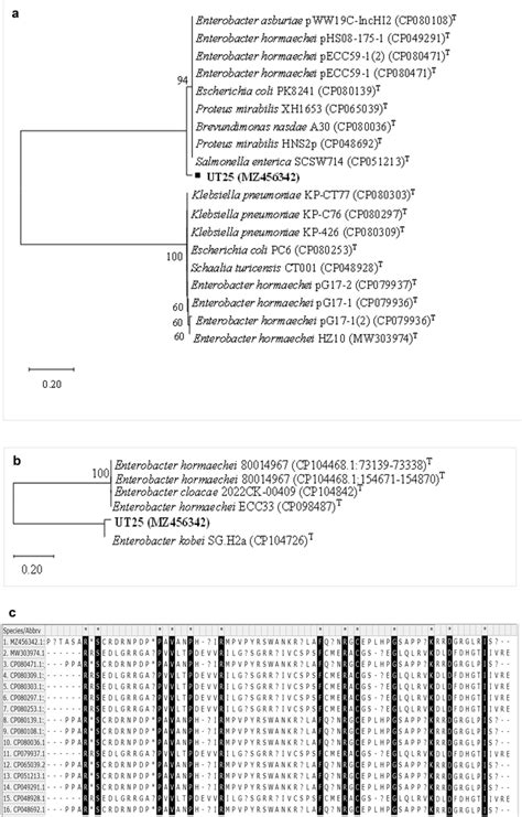 Phylogenetic Trees Of The Partial Amino Acid Sequence Of Inti1 Gene Of