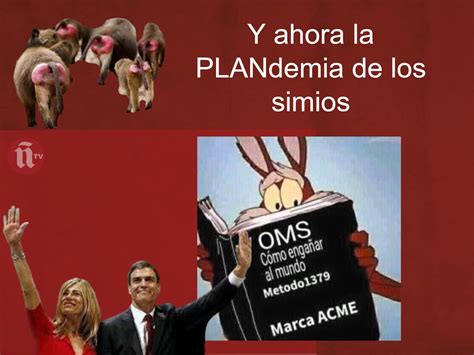 La Oms Declara La Emergencia Sanitaria Internacional Por La Viruela Del