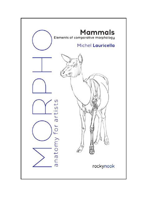 Morpho Mammals Elements Of Comparative Morphology Pdf