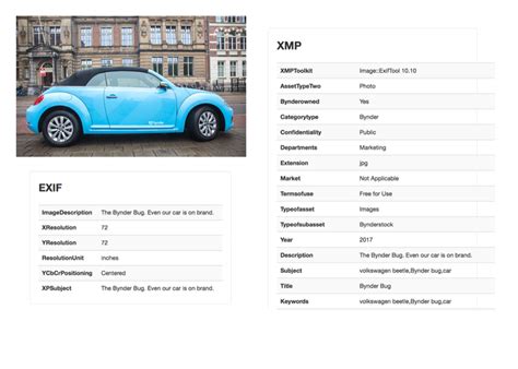 Create A Taxonomy For Digital Asset Management In 5 Easy Steps