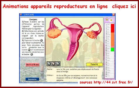 Svt Animation Reproduction Vive Les Svt Les Sciences De La Vie Et
