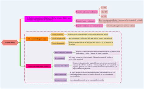 Auditoria Interna Mapa Conceptual Terminado Xmind Mind Mapping Software
