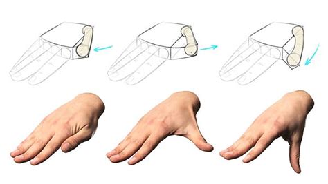 Proko How To Draw Hands From Imagination Step By Step How To Draw