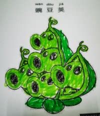 工具百宝箱 豌豆荚 植物 Pea Pod 植物大战僵尸 儿童素描简笔画在线免费图片转素描简笔画涂鸦涂颜色画画着色画拼音