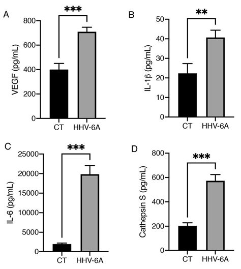Hhv 6a Infection Of Thyroid Cancer Cells Induces Various Growth