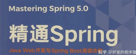 github星标百万！终于有人将spring技术精髓收录成册 java geek 0c76c3 infoq写作社区