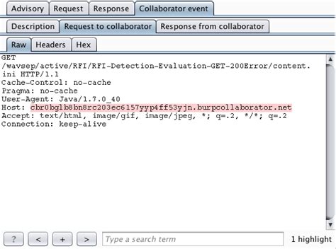 Introducing Burp Collaborator Blog Portswigger