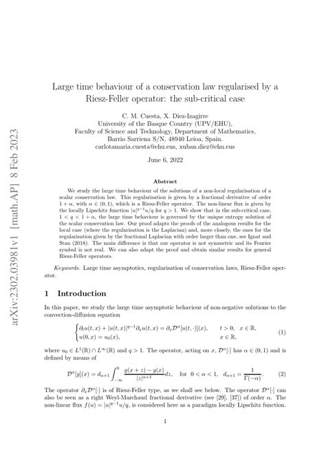 Pdf Large Time Behaviour Of A Conservation Law Regularised By A Riesz Feller Operator The Sub