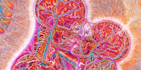 Out Of Body Experience A Powerfully Beautiful Story Alex Gray Art