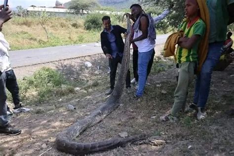 The Monks Of St Arsema Monastery Were Unable To Get Around Because Of