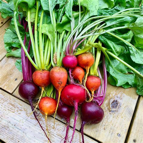 Best Pickled Beetroots