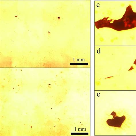Cross Section Of Xy A And Xz B Planes Of The Most Dense Sample And