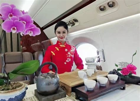 踏春正当时，金鹿公务包机新品来袭最新消息关于金鹿金鹿公务航空有限公司