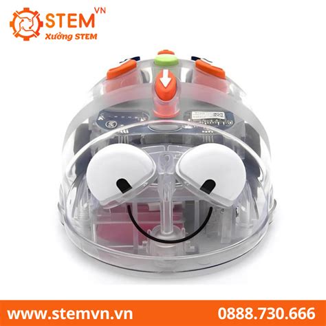 Blue Bot Robot Giáo Dục Stem Cho Lứa Tuổi Mầm Non