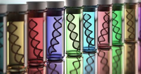 Deciphering The Genetic Code The Role Of DNA And RNA In Molecular Biology Sean Schepers