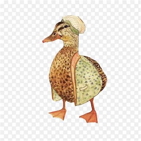 Png Ypaddkrm