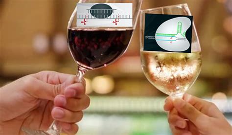 Blog Functional Genomics Sitools Biotech