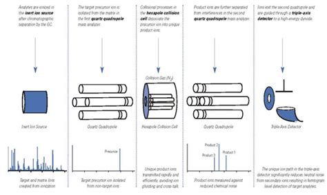 The New Agilent Triple Quadrupole Gc Ms