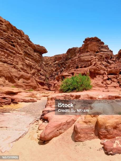 Valle De Piedra De Granito와 Areniscas의 풍경 이집트 사막의 암석 시나이 사막의 캐년 콜로라도