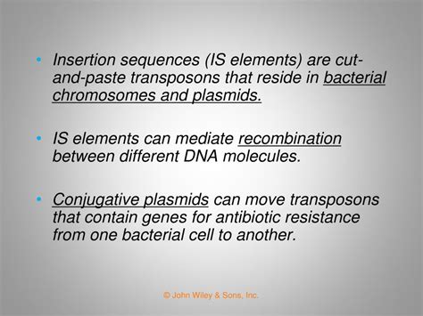 Ppt Chapter 17 Transposable Genetic Elements Powerpoint Presentation