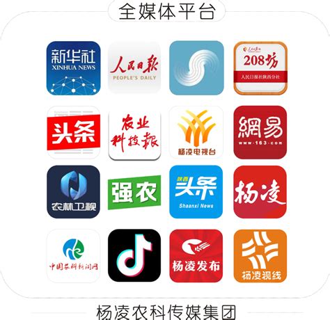 《盛会乐淘淘》：翠娥栓科逛展馆 上合之禾结硕果财经头条