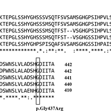 Multiple Sequence Alignment Of The Gata4 Protein Sequences In Homo Download Scientific Diagram
