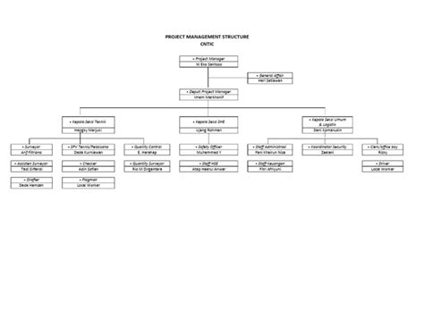 Project Management Structure Pdf