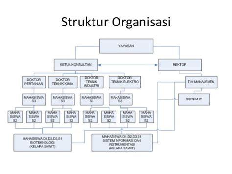 Download Struktur Organisasi Perusahaan Perkebunan Kelapa Sawit Pics