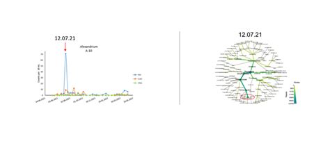 Integrated Approaches For Phytoplankton Dynamics