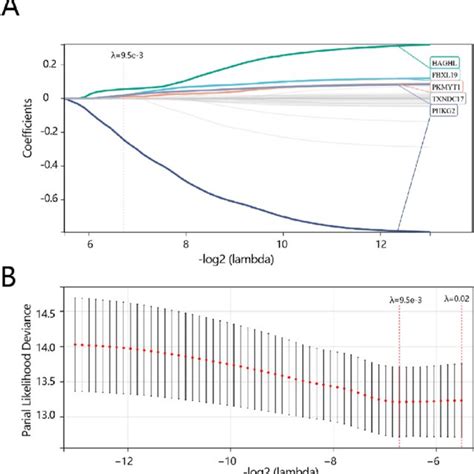 Hub Genes Were Screened By Lasso Analysis A Selection Of The Optimal Download Scientific