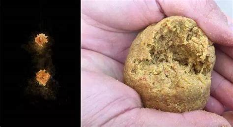 揭开钓鱼高手使用鱼饵的秘密：蓝鲫x5它究竟该怎么用？饵料钓友什么
