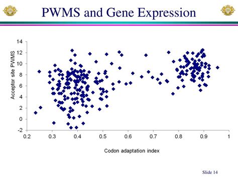 PPT Position Weight Matrix PWM Perceptron And Their Applications PowerPoint Presentation