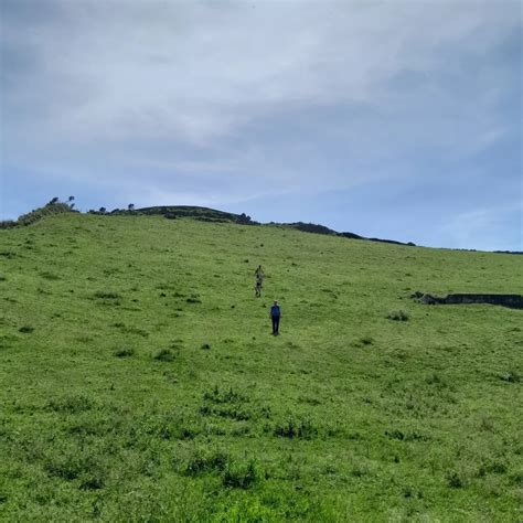 Guided Hike To The Forts Of São Sebastião On The Island Of Terceira
