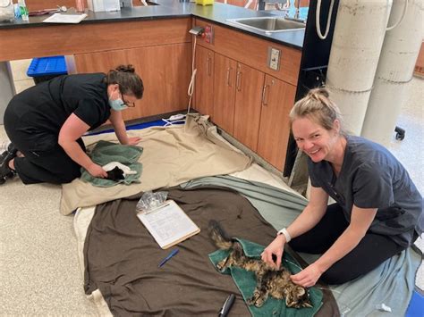 Ontario Spca And Humane Society Supports Northern College Spayneuter
