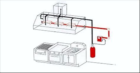 Kaiser Asage Sdn Bhd Services