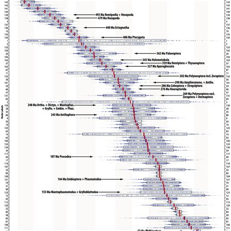 Pdf Phylogenomics Resolves The Timing And Pattern Of Insect Evolution