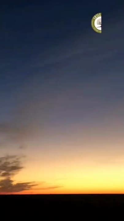 Divya Vijayakumar On Linkedin Skilltree Storytelling Stories